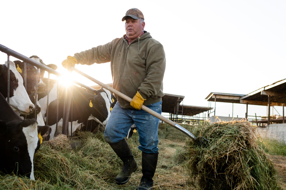 O'Canada Bison Wool Co Purveyors of North American Bison Fiber Apparel ...